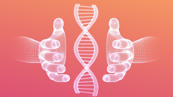 Genoma humano é sequenciado de forma completa pela primeira vez, diz ...