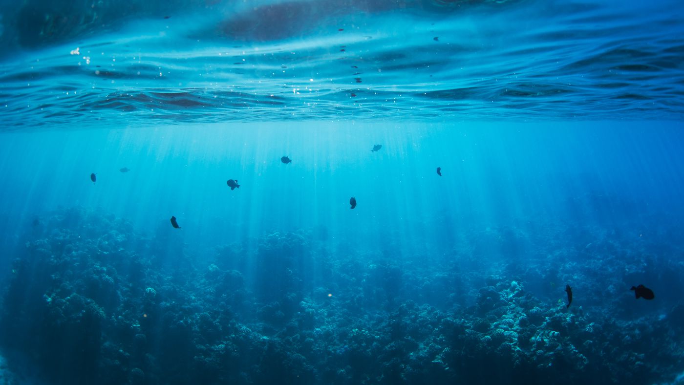 Mais de 80% do oceano ainda é desconhecido. Entenda o porquê! - Canaltech