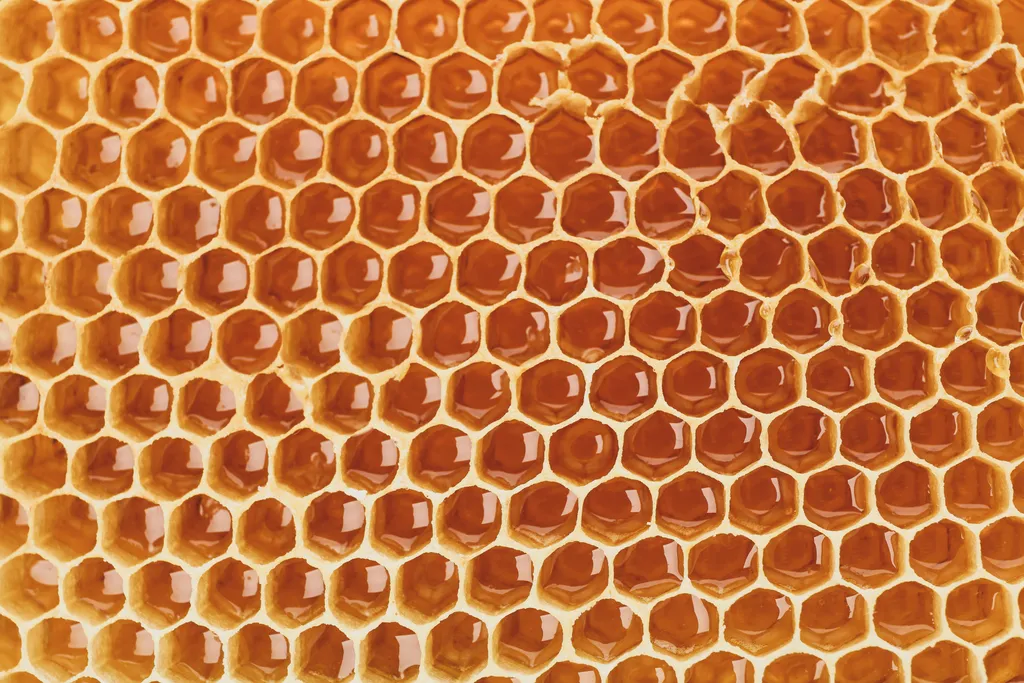 Cientistas criam "chip de mel" que imita as funções do cérebro - Canaltech