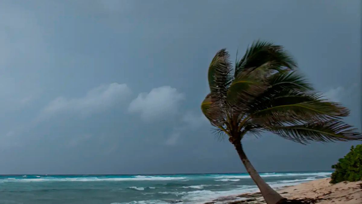 Rajadas de 100 km/h | Ciclone extratropical causa ventania em partes do ...