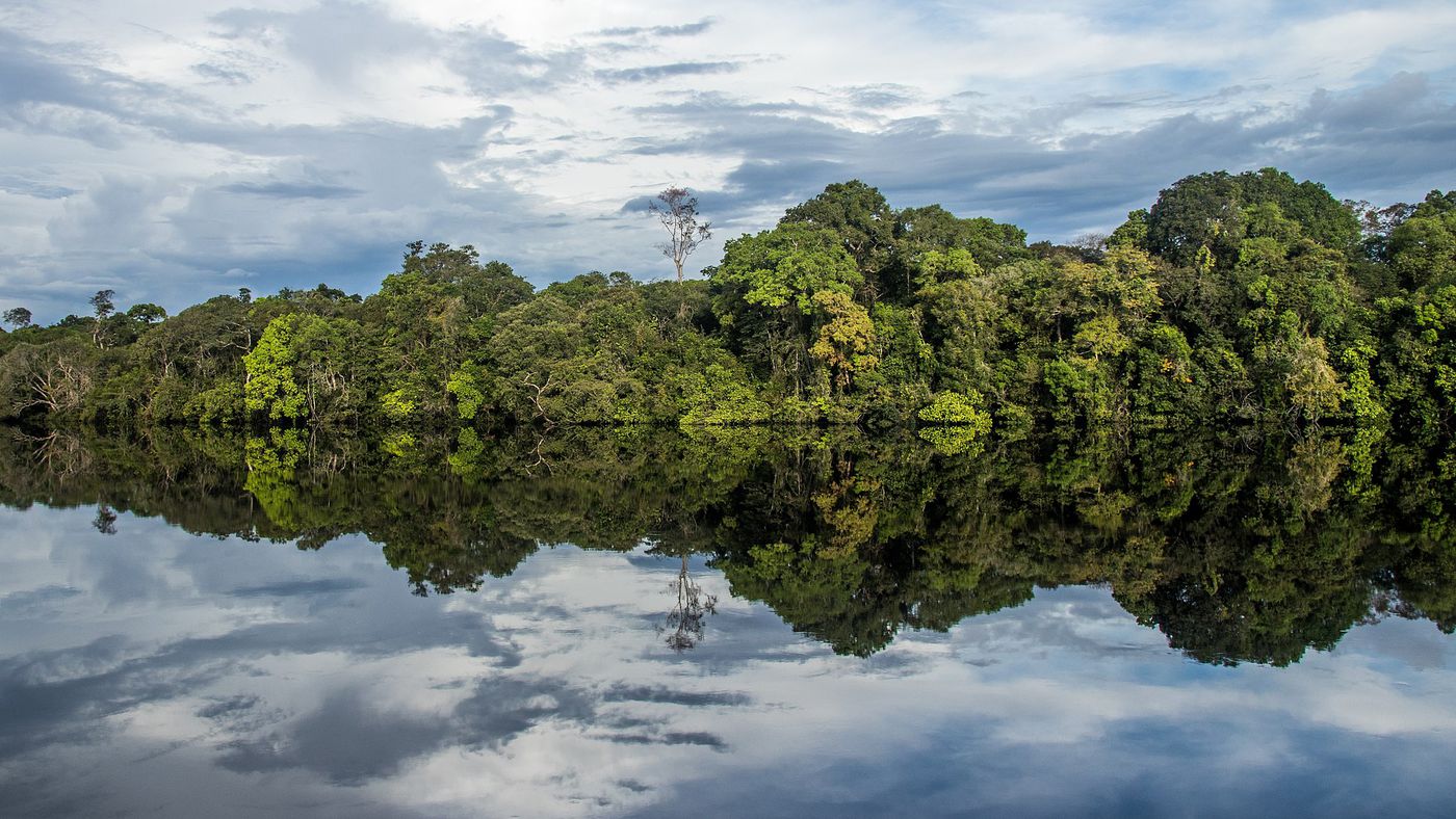 Como preservar os rios? - Canaltech