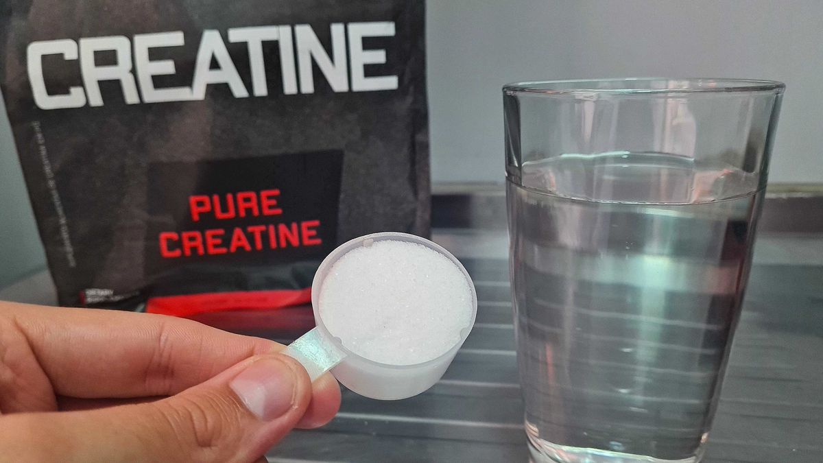 O que é creatina e para que serve? - Canaltech