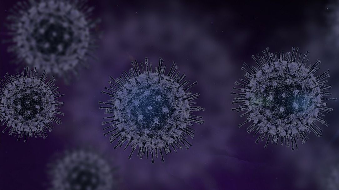 Luz solar pode inativar o coronavirus muito mais rápido do que se ...