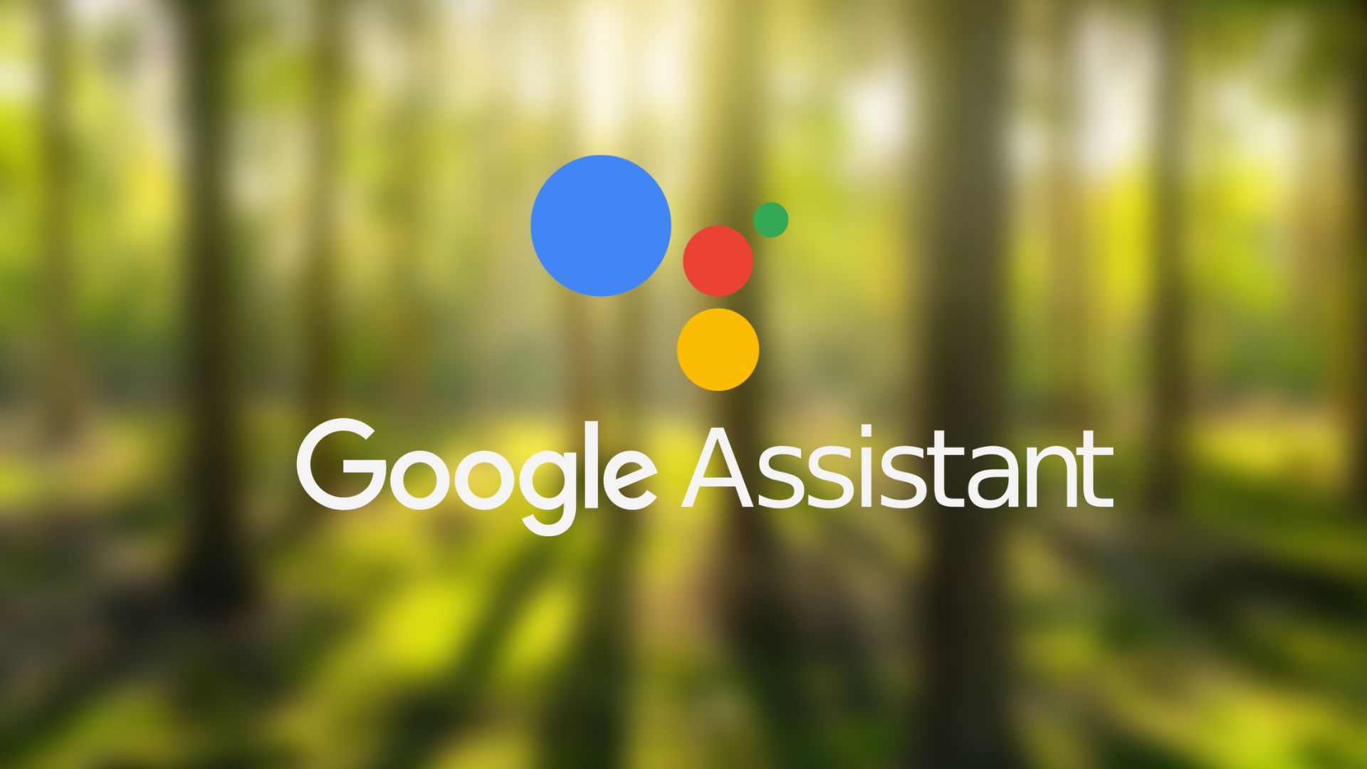 Google Assistente começa a oferecer dicas de sustentabilidade - Canaltech