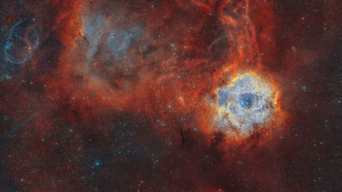 Destaque da NASA: nebulosa “florescendo" é a foto astronômica do dia - Canaltech