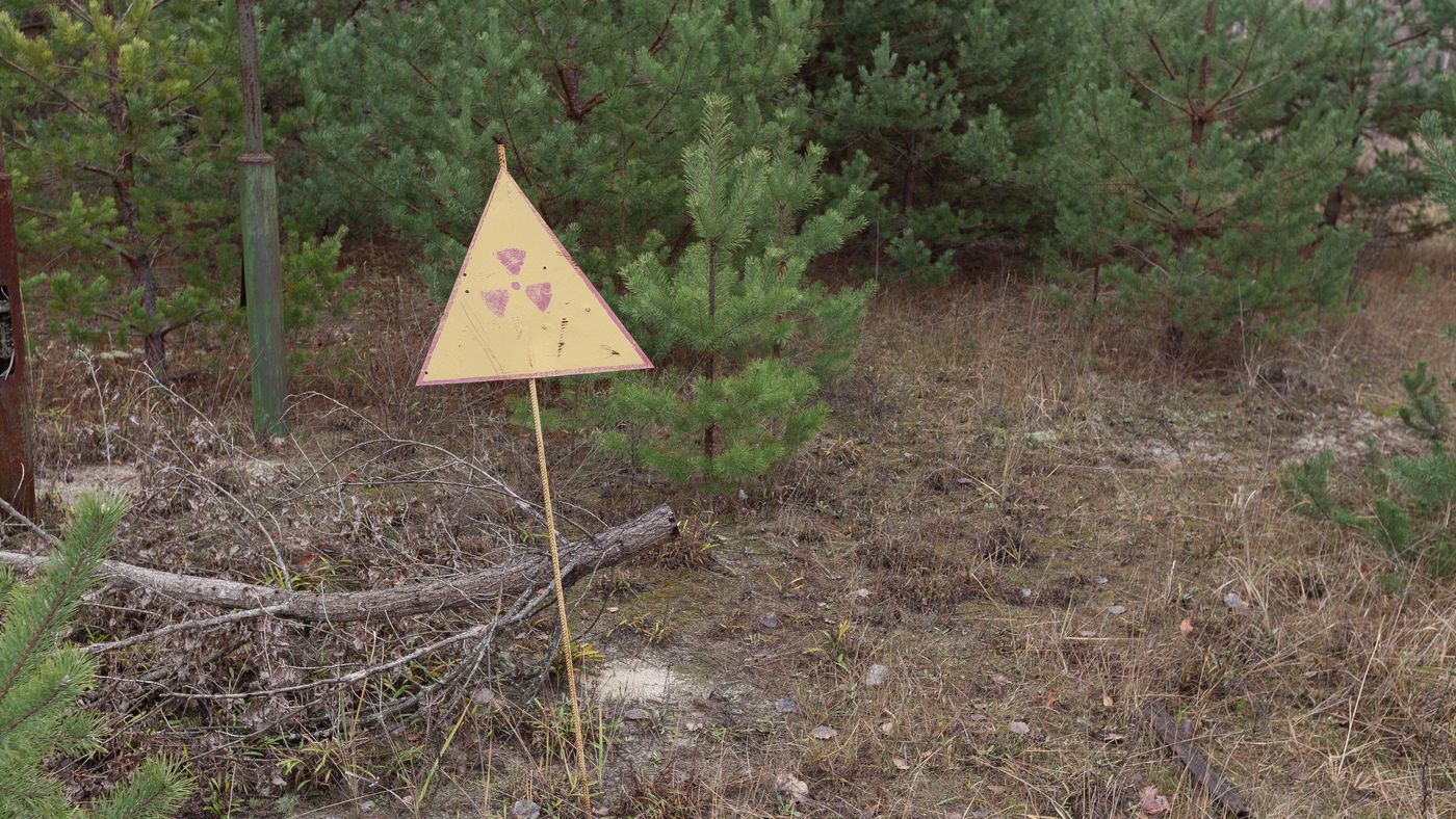 Pesquisadores estudam os efeitos genéticos da radiação de Chernobyl em ...