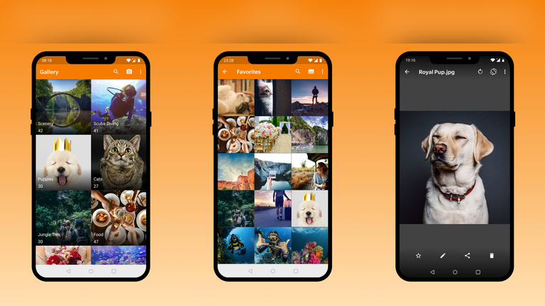 App Simple Gallery Pro ganha suporte ao modo Retrato do Google Pixel ...