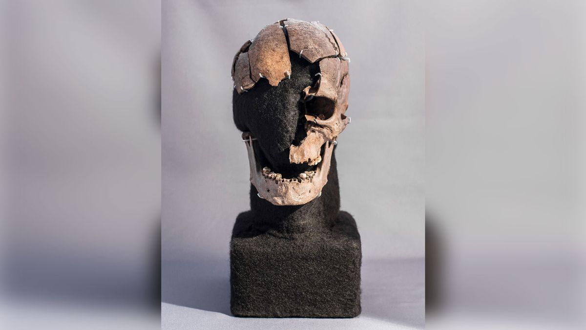 Dentes revelam segredos do Homem de Vittrup, morto há 5.000 anos ...