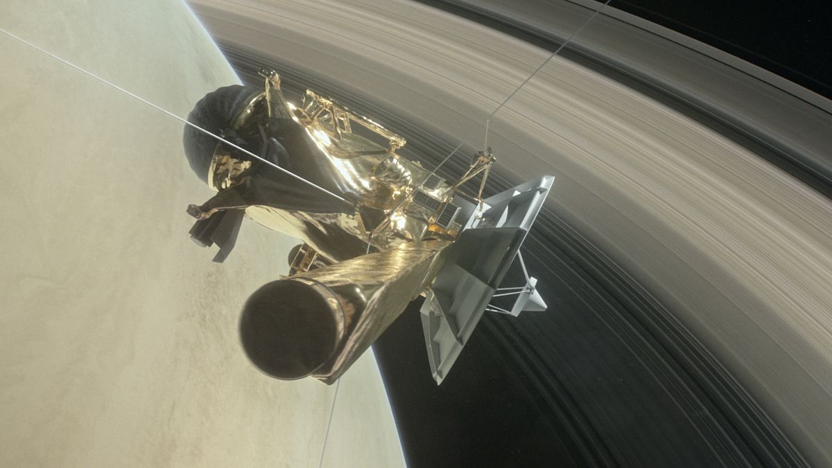 Lua saturniana Reia parece abrigar substância que usamos como ...