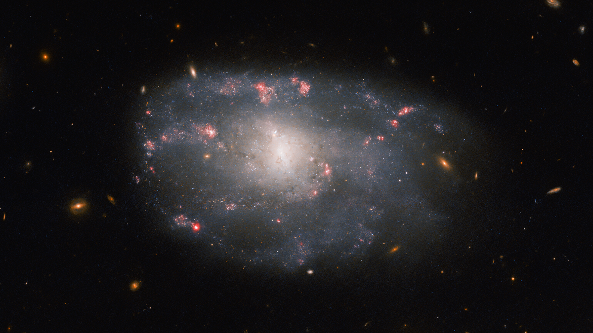 Galáxia irregular brilha em nova foto do telescópio Hubble - Canaltech