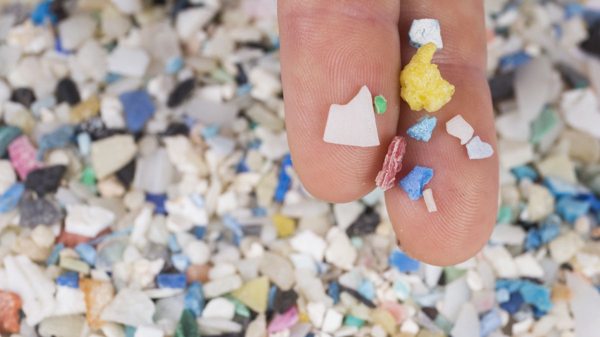 O que são microplásticos, de onde vêm e para onde vão? - Canaltech