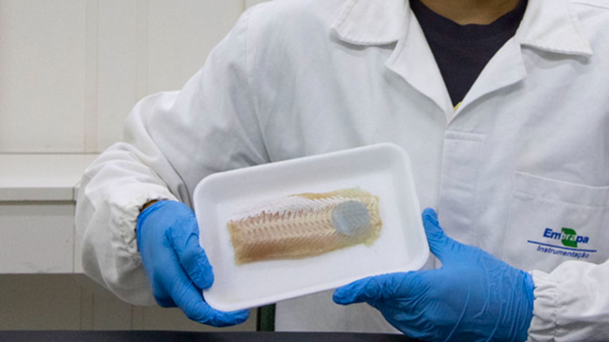 Embalagem brasileira inteligente muda de cor para avisar que o peixe ...
