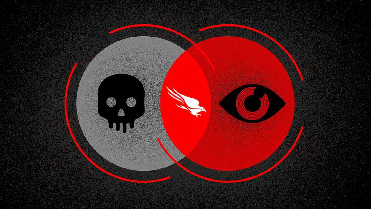 O que é a CrowdStrike? Empresa responsável pelo apagão cibernético ...