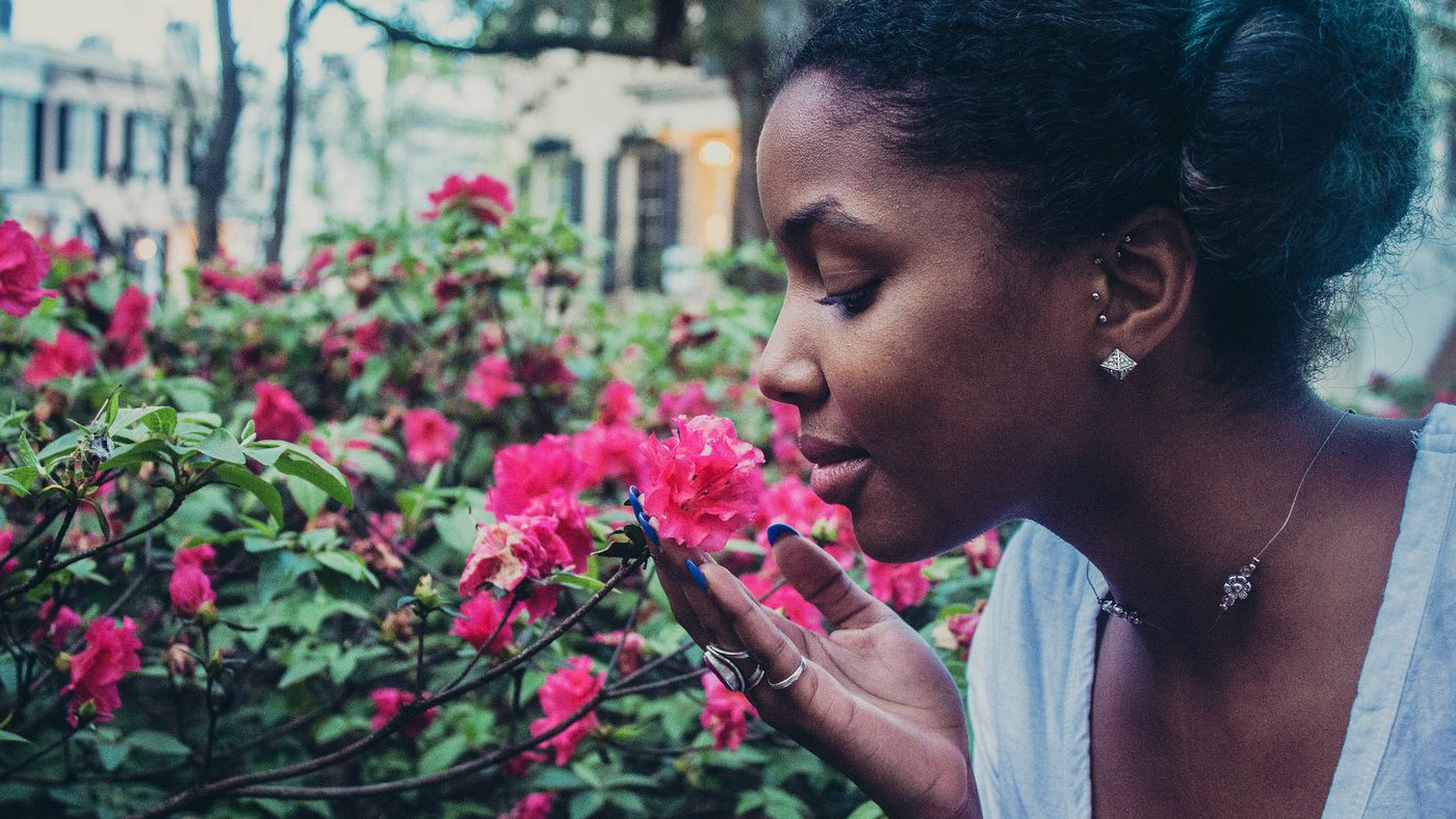 Percepção do cheiro pelo cérebro funciona como notas musicais, dizem ...