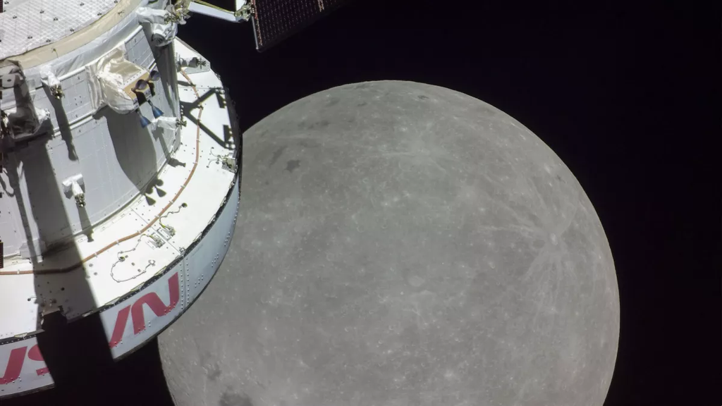 NASA vai distribuir mudas das sementes que foram ao espaço na Artemis I ...