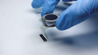 Chip da Neuralink funciona há 1 ano no cérebro humano; confira próximas ...