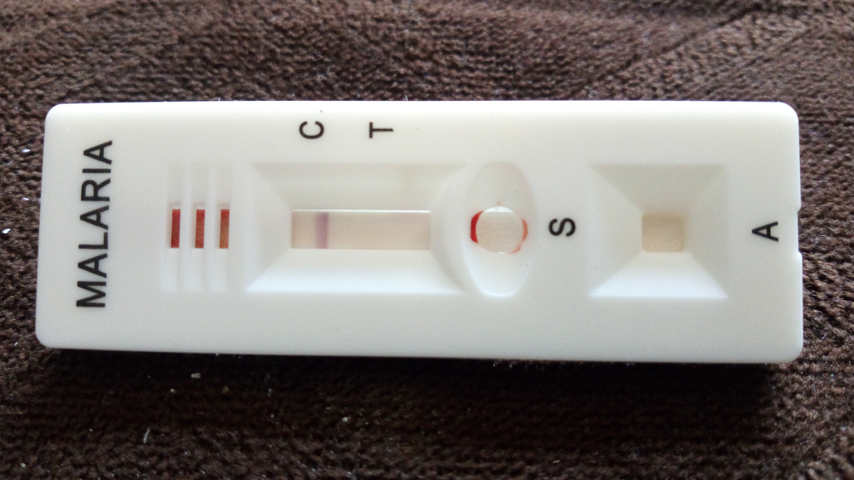 Tafenoquina: SUS agora tem remédio dose única para malária - Canaltech