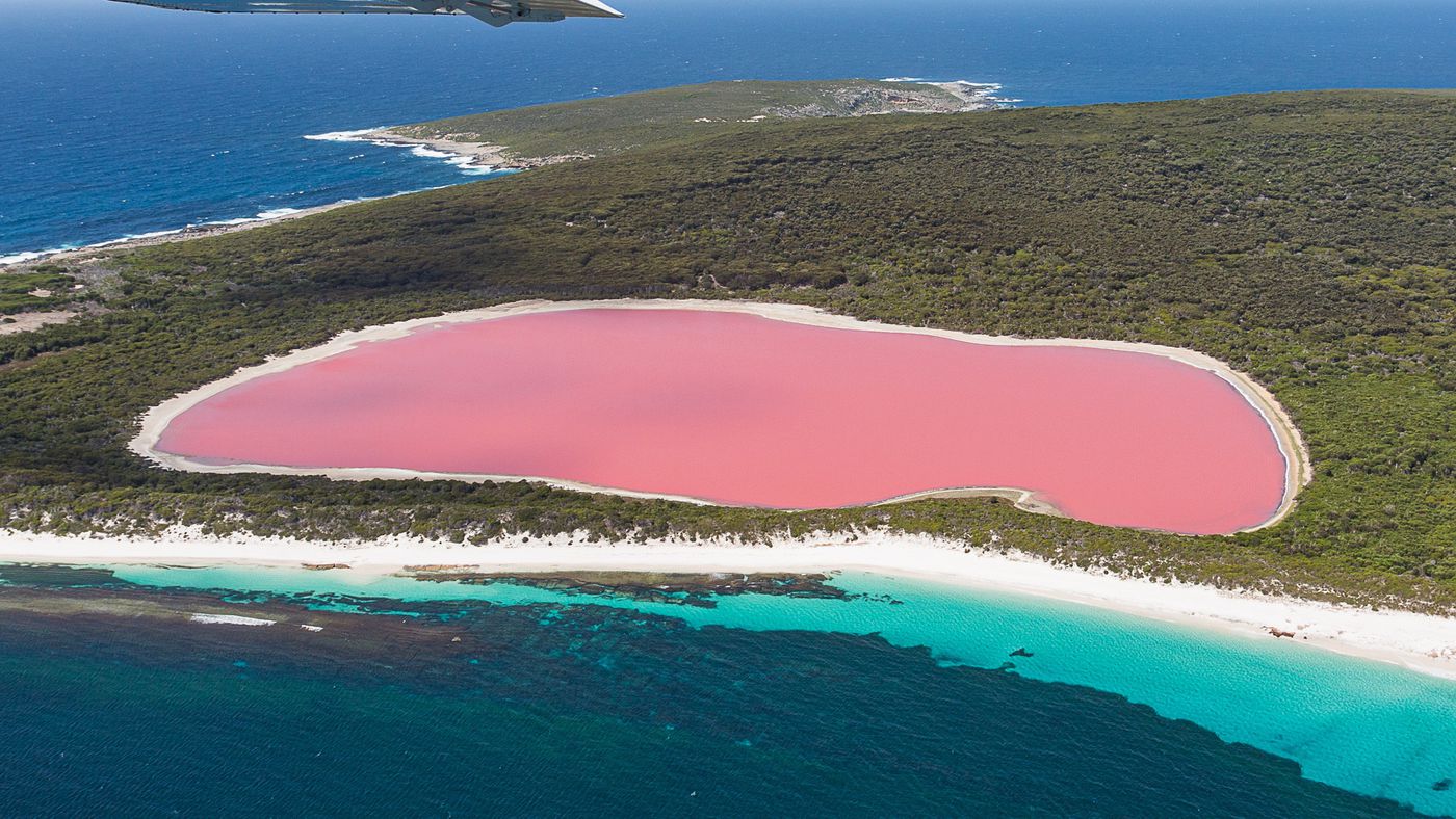 Lago rosa da Austrália tem essa cor por causa de bactérias - Canaltech