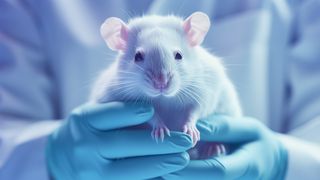 Tecnologia de órgão em chip pode substituir testes em animais - Canaltech