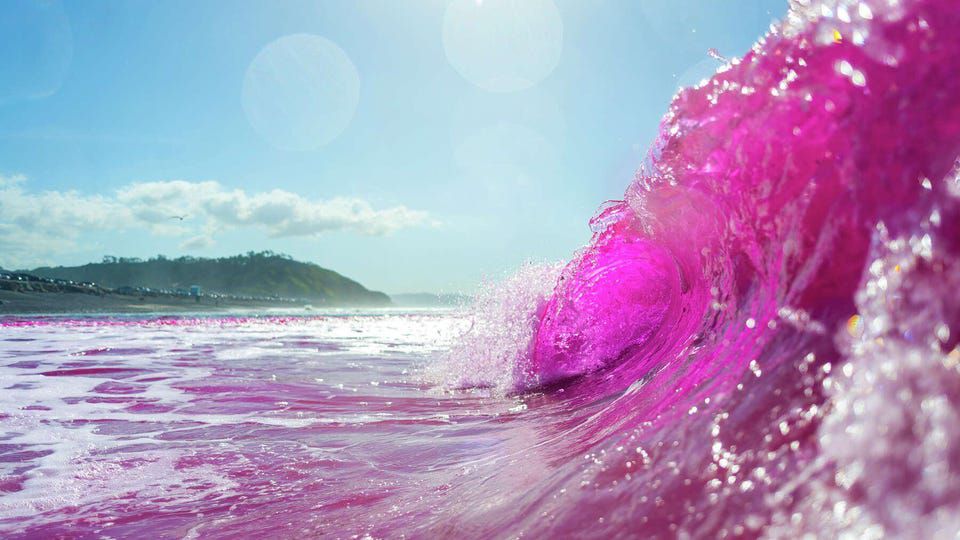 O mar ficou cor de rosa em praia dos EUA — e tudo pela ciência - Canaltech